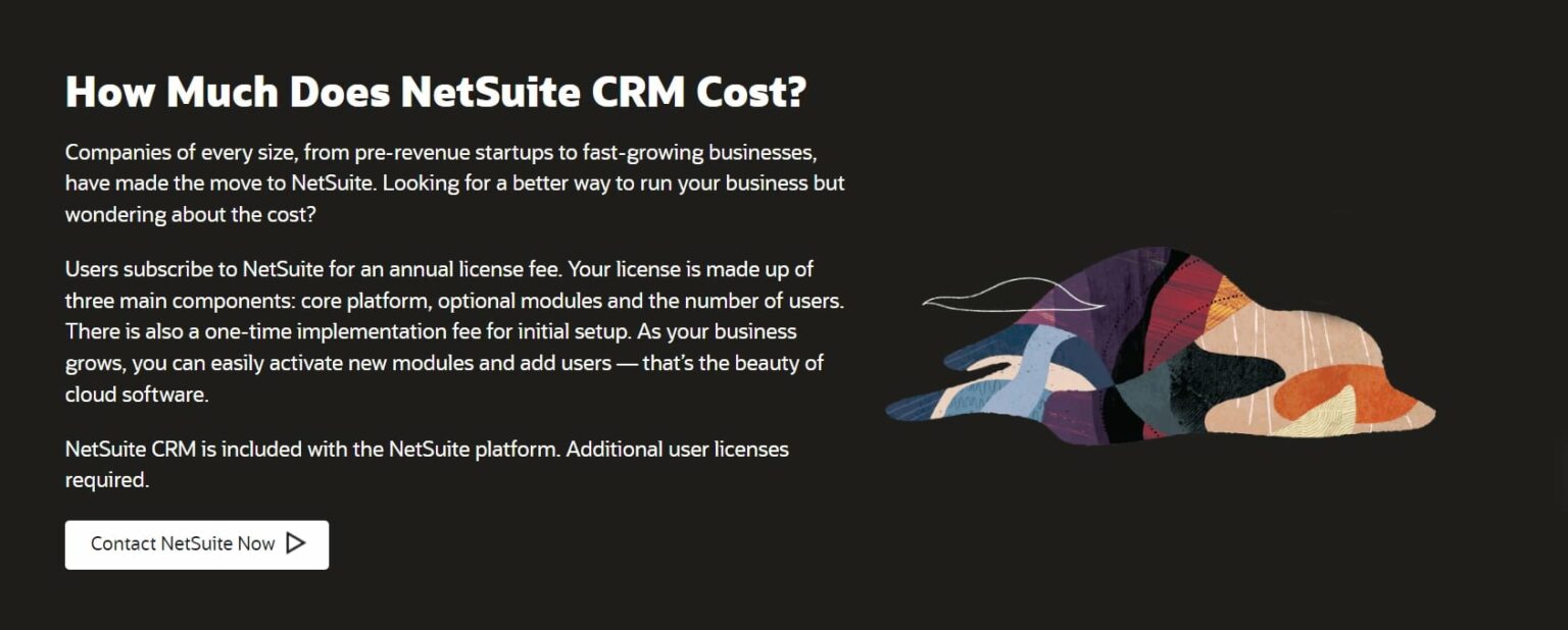 NetSuite vs Salesforce: An In-Depth Comparison Guide 2023